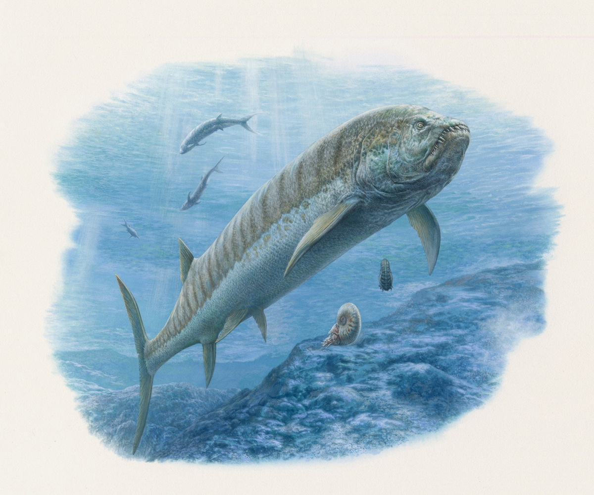 Paleo Gallery - Kronos Rising photos