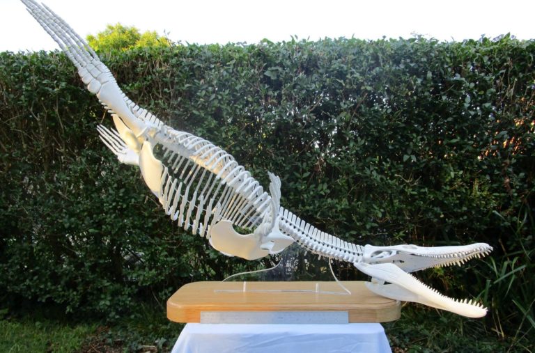 APEX PREDATOR SPOTLIGHT: PLIOSAURUS MACROMERUS