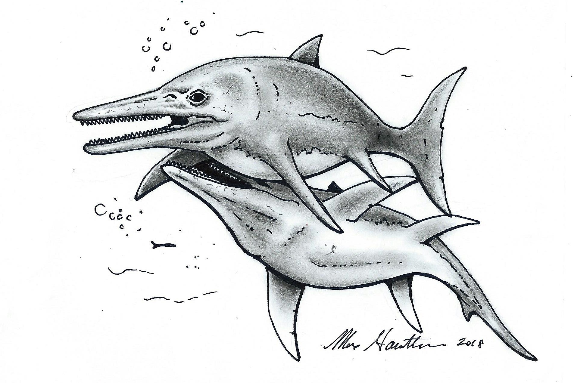 Temnodontosaurus