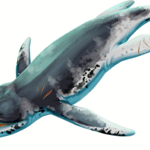 Paleo Gallery by Max Hawthorne