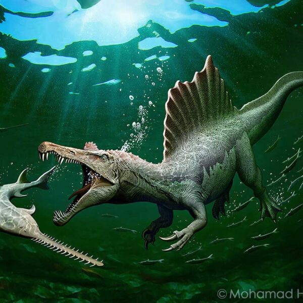 Paleo Gallery by Max Hawthorne